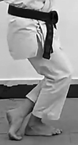 Posturas – Karatê Shotokan