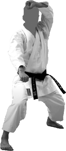 Kata – Karatê Shotokan
